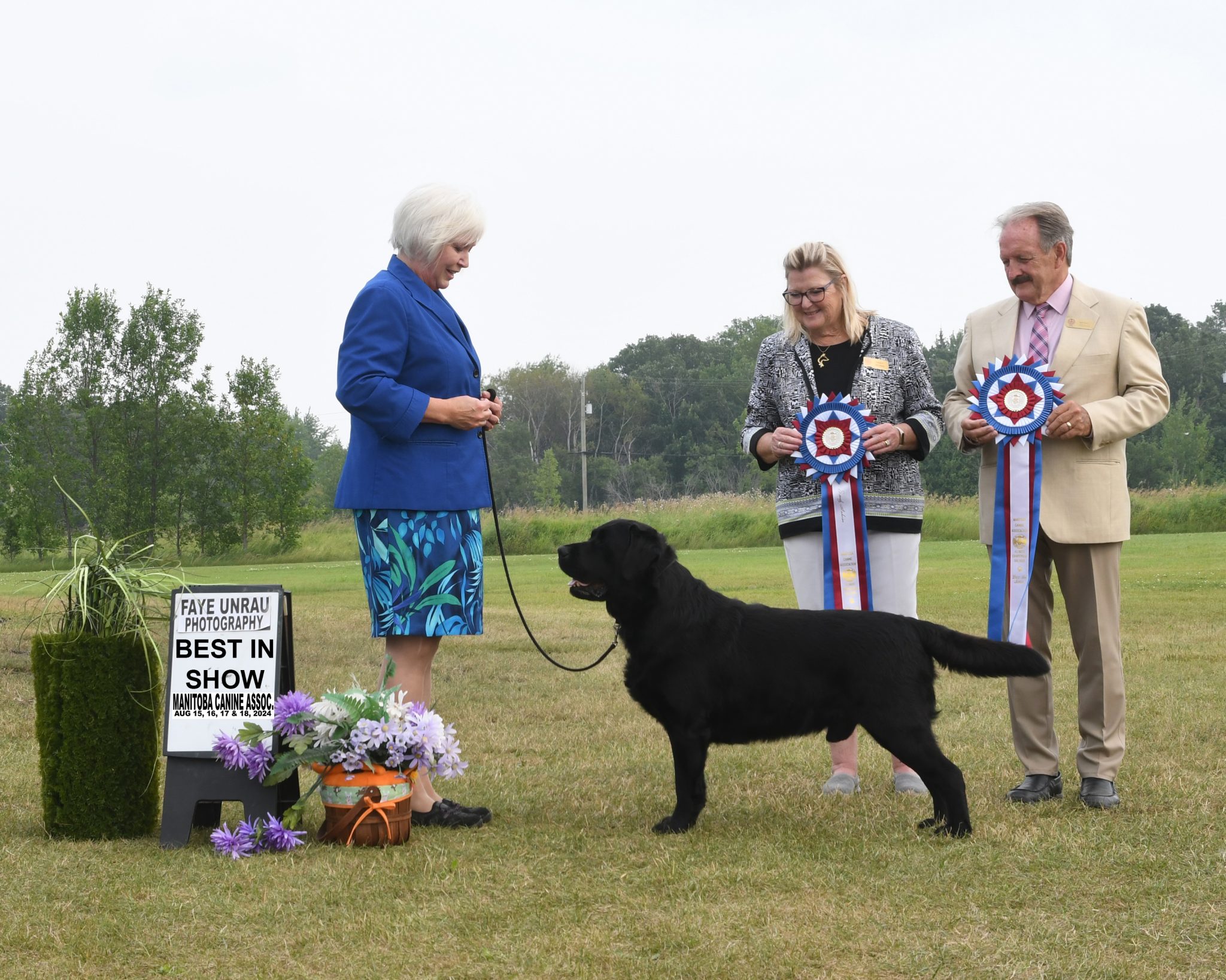 Sleeman – Thomashenry Reg. Perm.